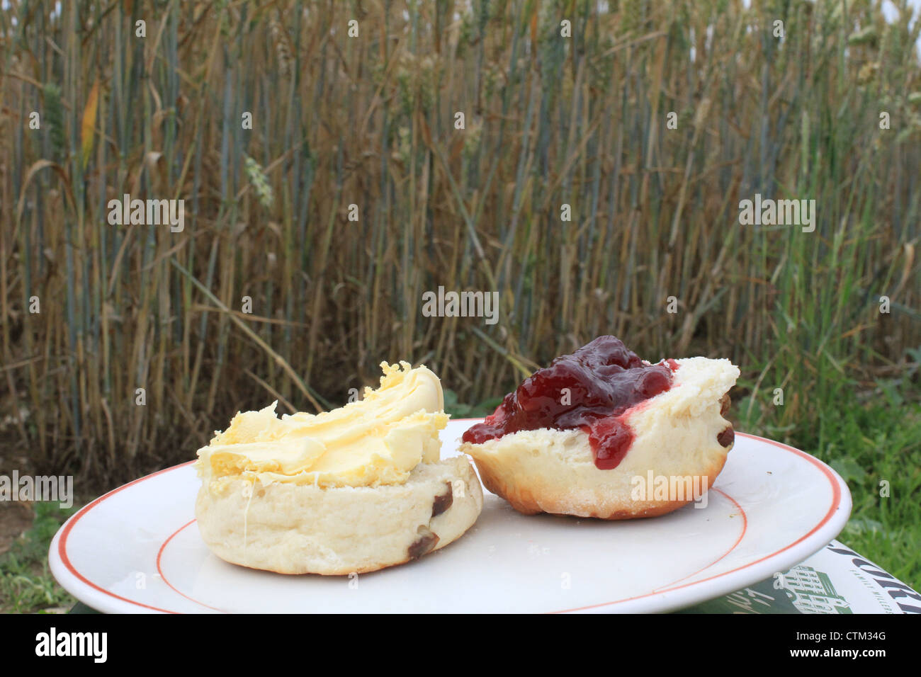 Cream and Jam Scone Stock Photo - Alamy