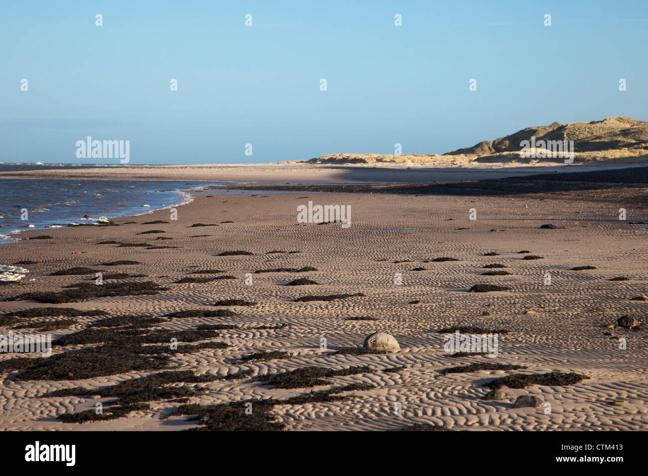 Ripples In The Sand And Seaweed On The Beach Along The Coast At Budle ...
