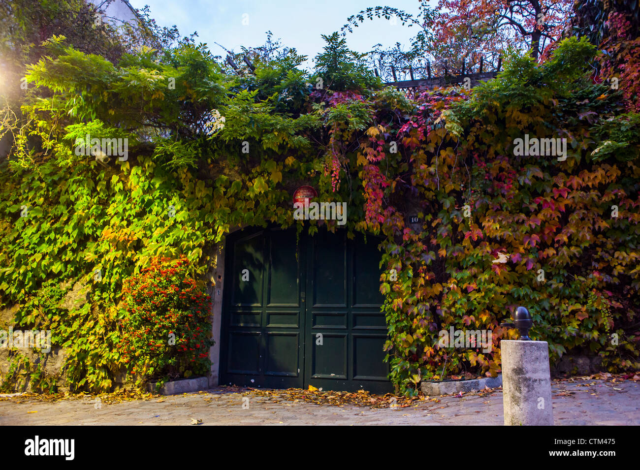 Paris, France, Autumn Foliage, Vines, Vertical Wall Garden Door on ...