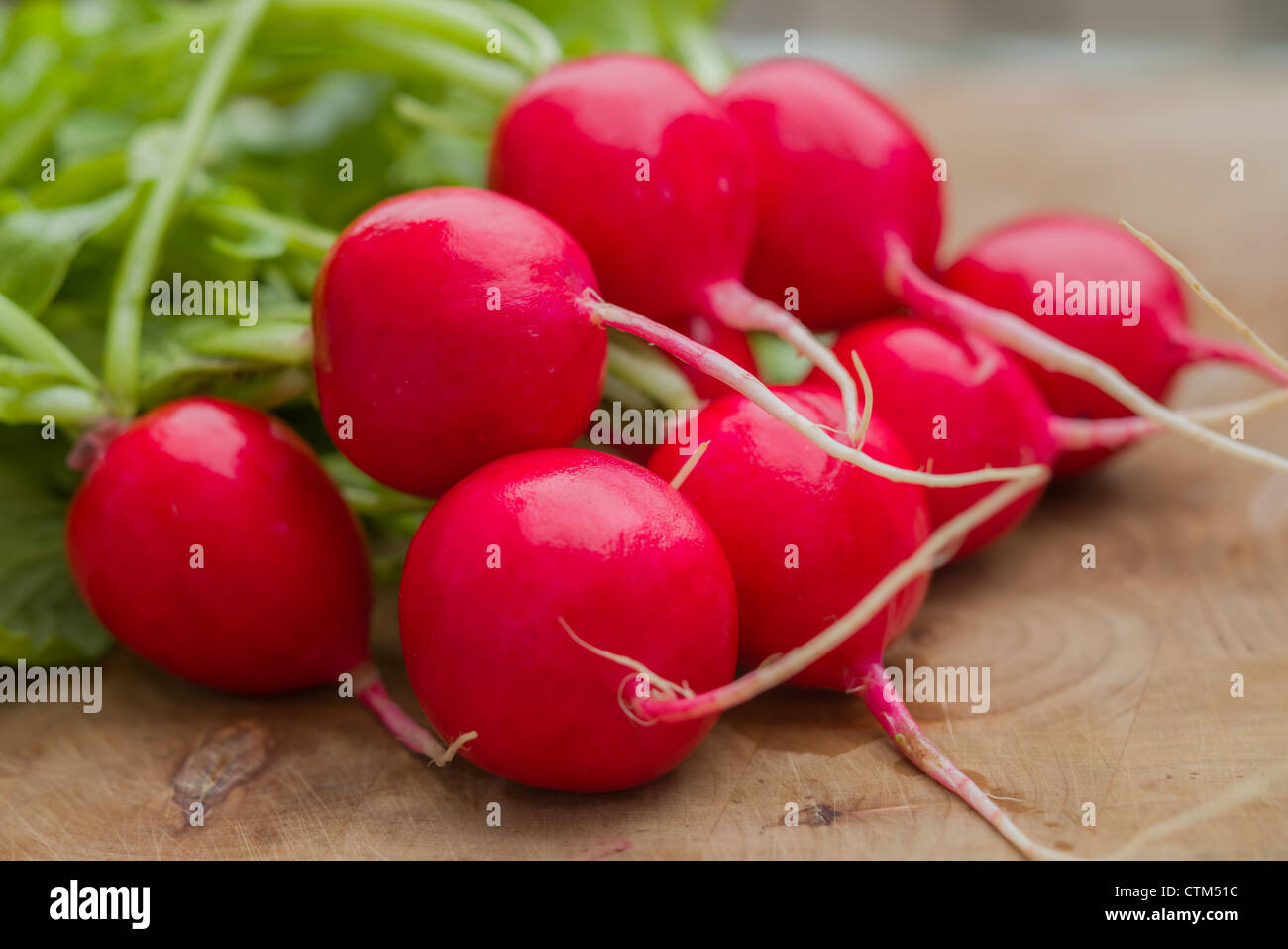 Bunch of radishes Stock Photo - Alamy