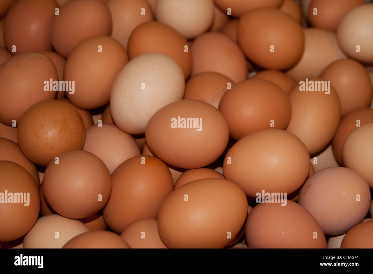 Natural, fresh, organic brown eggs Stock Photo - Alamy