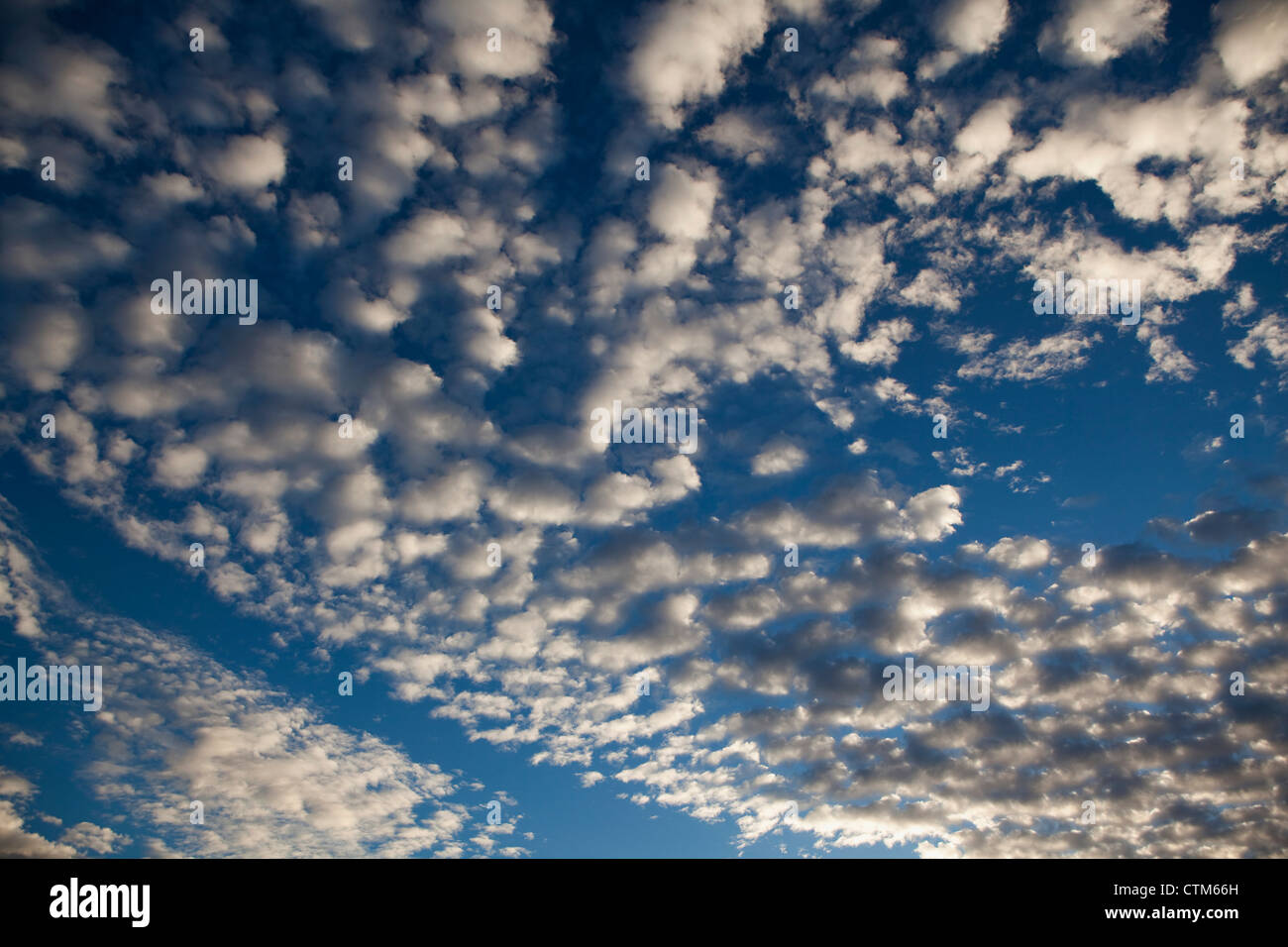 Cloudy Sky; West Australia, Australia Stock Photo - Alamy