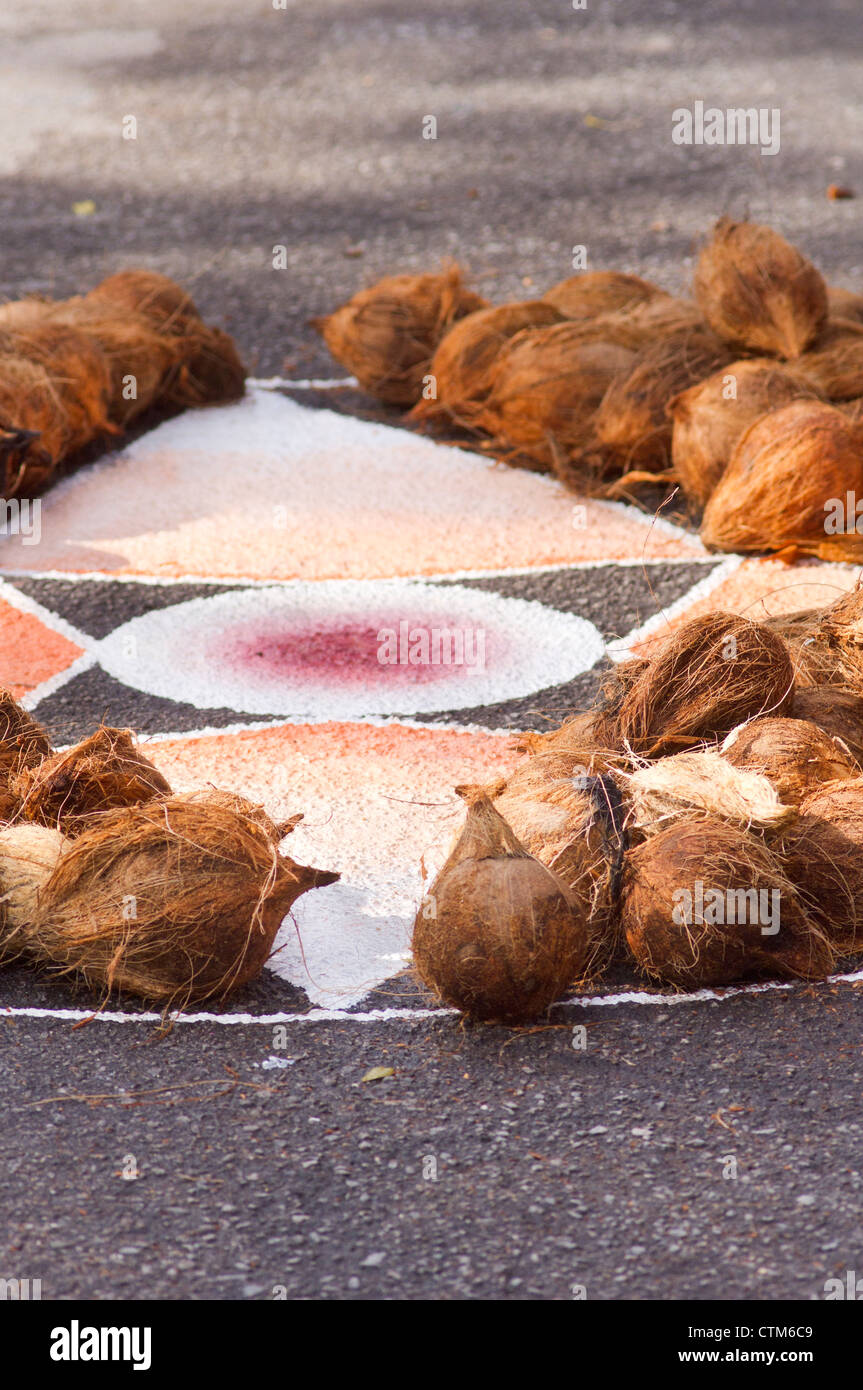 Thaipusam smashing coconut festival hi-res stock photography and images ...