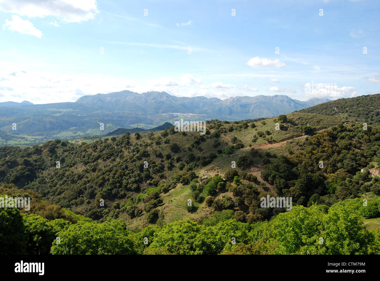 Andalusia and countryside hi-res stock photography and images - Alamy