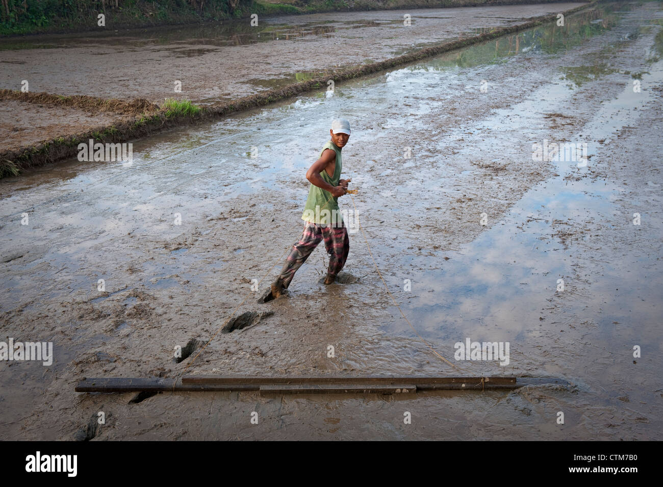 Preparing rice fields,Luzon Philippines Stock Photo - Alamy