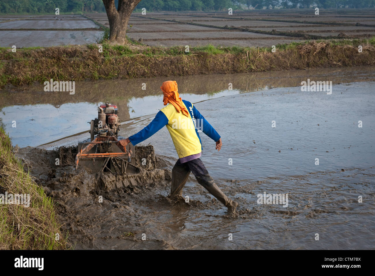 Farmer philippines rice hi-res stock photography and images - Alamy