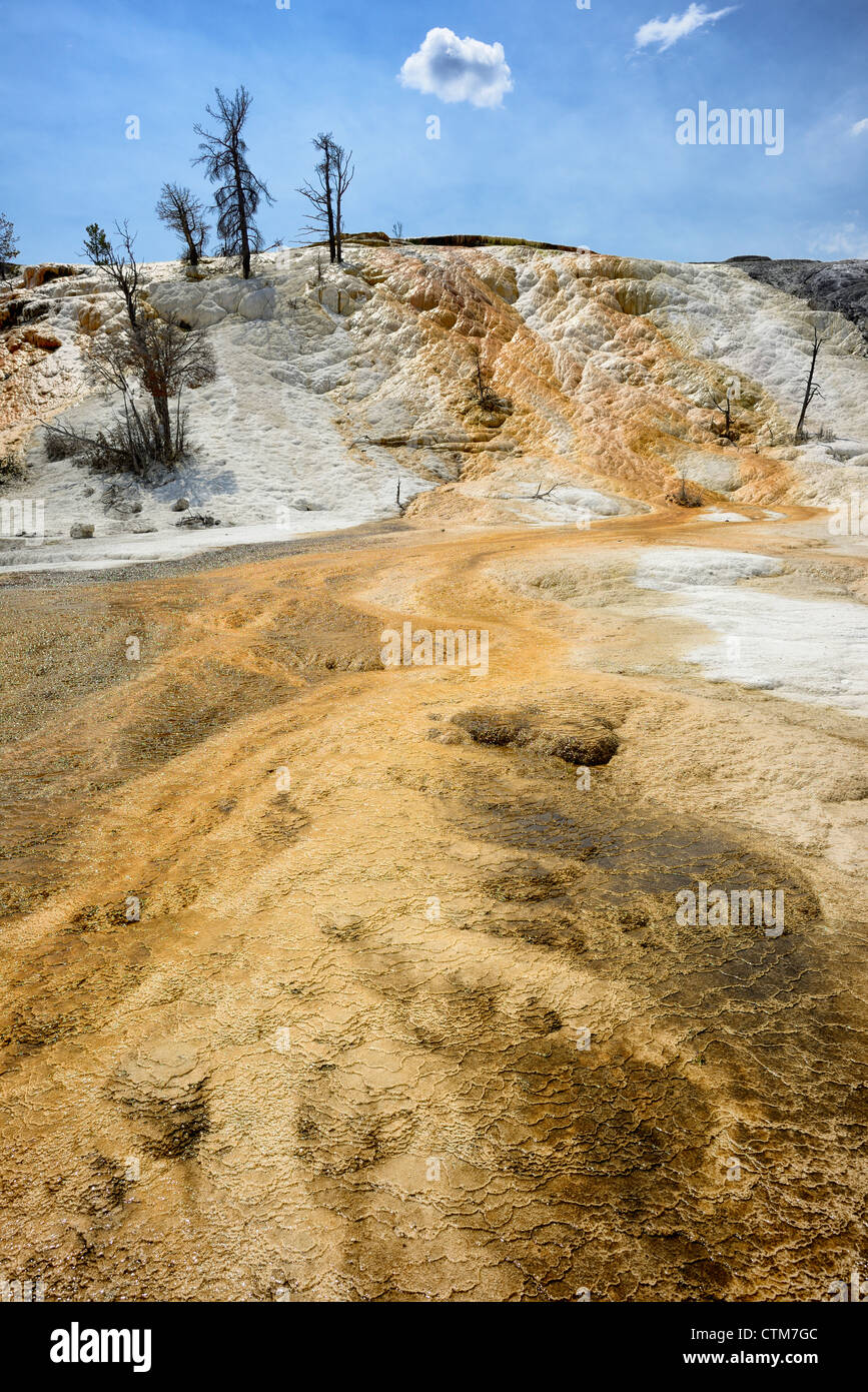 Lower terrace hi-res stock photography and images - Alamy