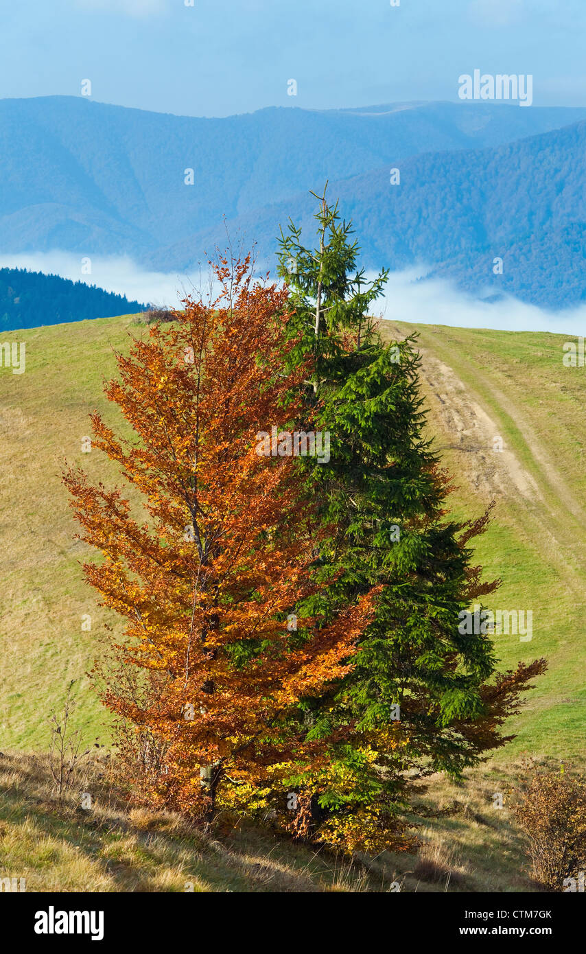 Sunny autumn mountain and colorful trees on mountainside Stock Photo ...