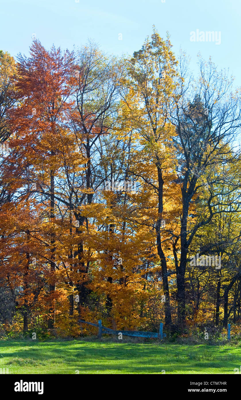 Colorful autumn trees on hill hi-res stock photography and images - Alamy
