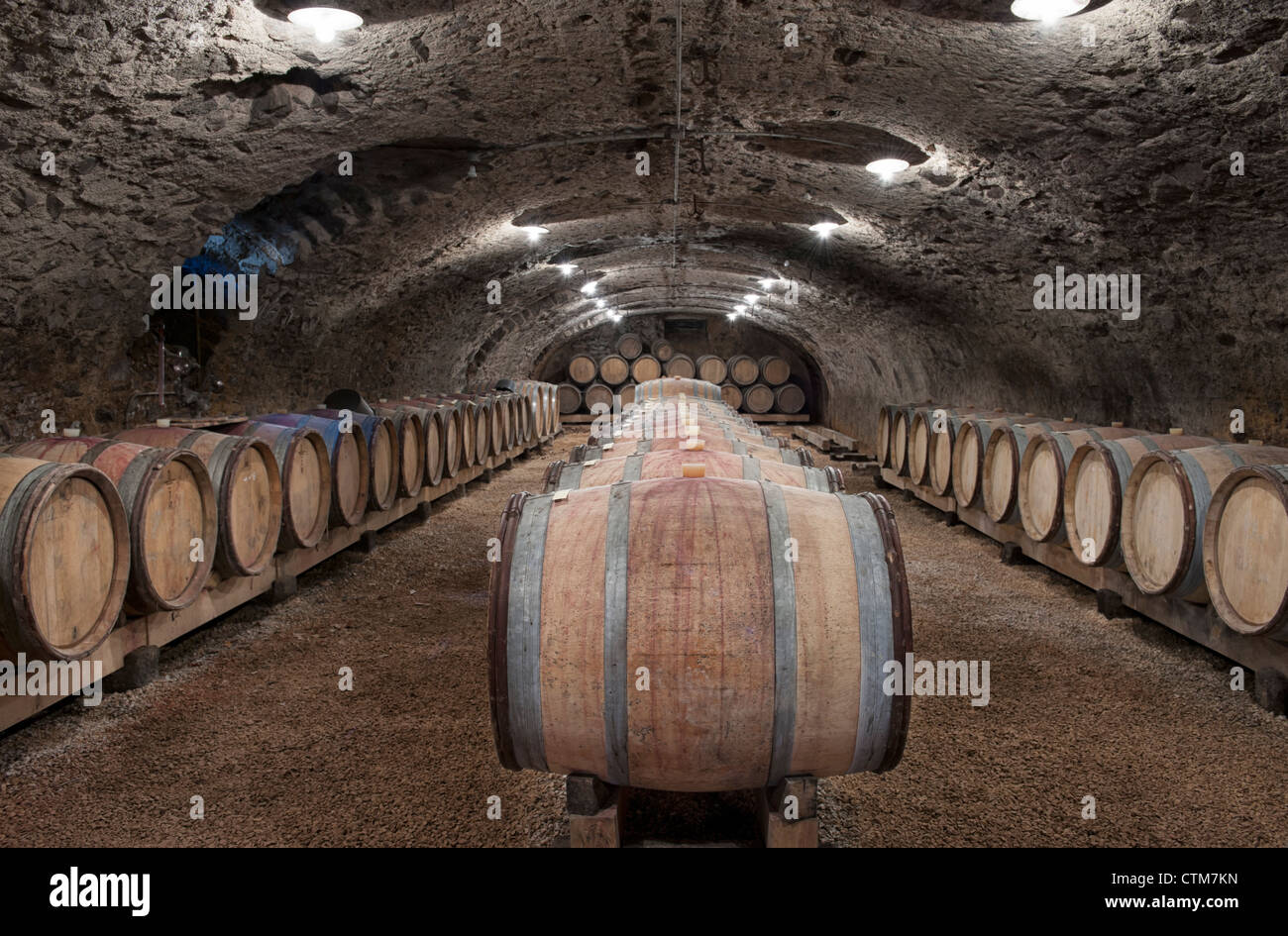 Old wine cellar with oak barrels Stock Photo - Alamy