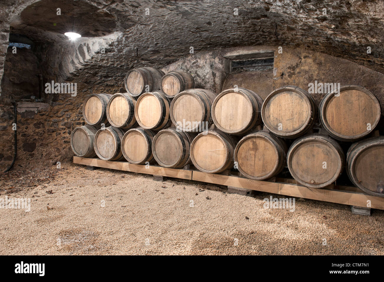 Old wine cellar with oak barrels Stock Photo - Alamy