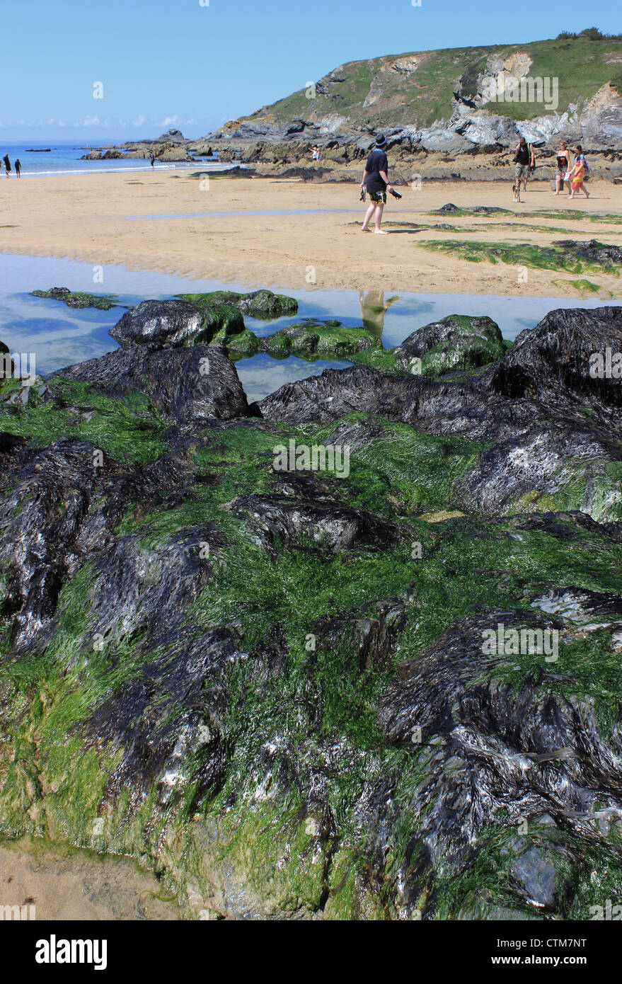 Families enjoy the Cornish Beach at Gunwalloe Stock Photo - Alamy