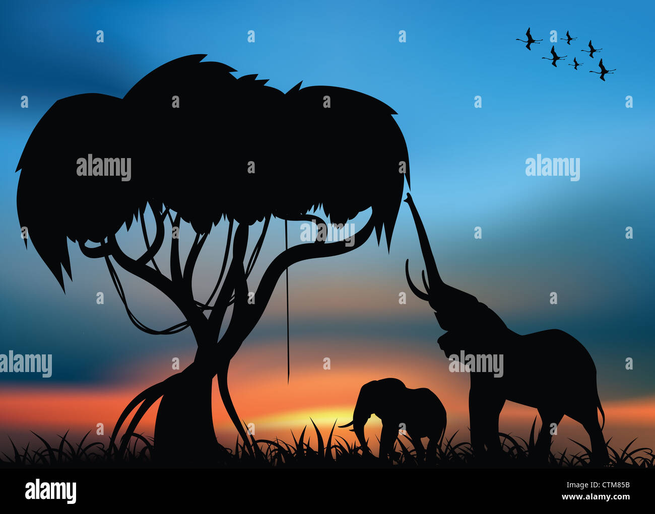African savanna with elephants at the sunset Stock Photo - Alamy
