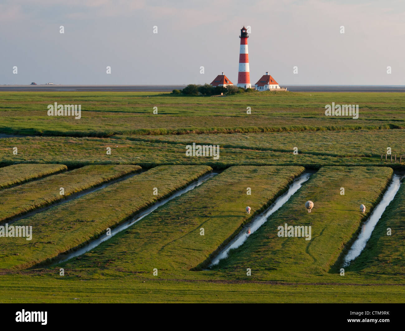Salt marsh and lighthouse hi-res stock photography and images - Alamy