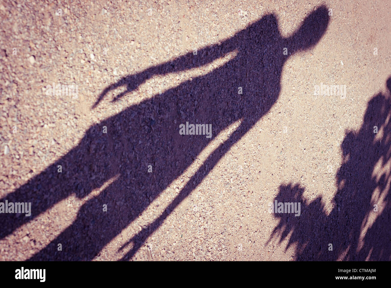 Shadow of a man and a tree Stock Photo - Alamy