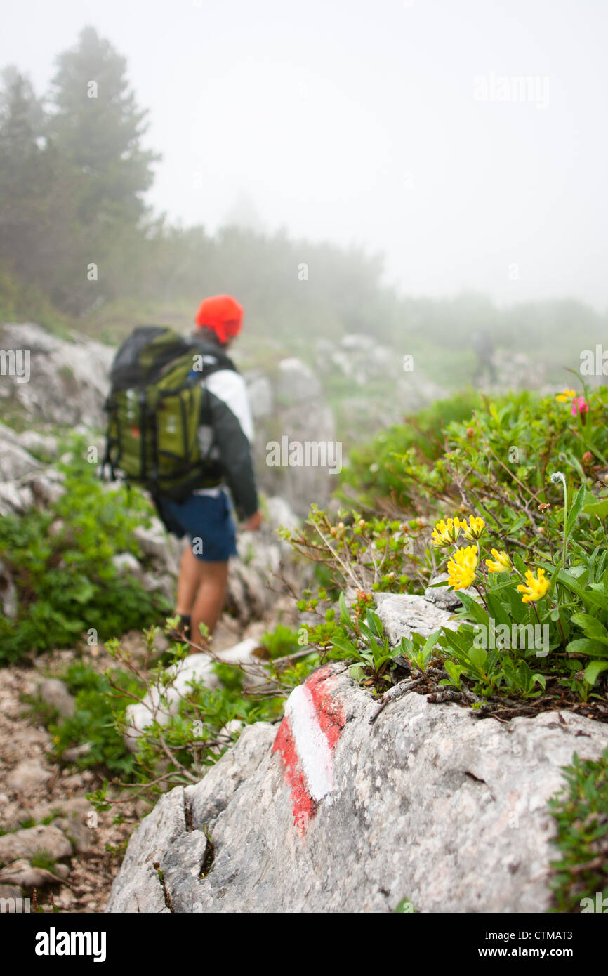 Mountaineering in the Alps Stock Photo - Alamy