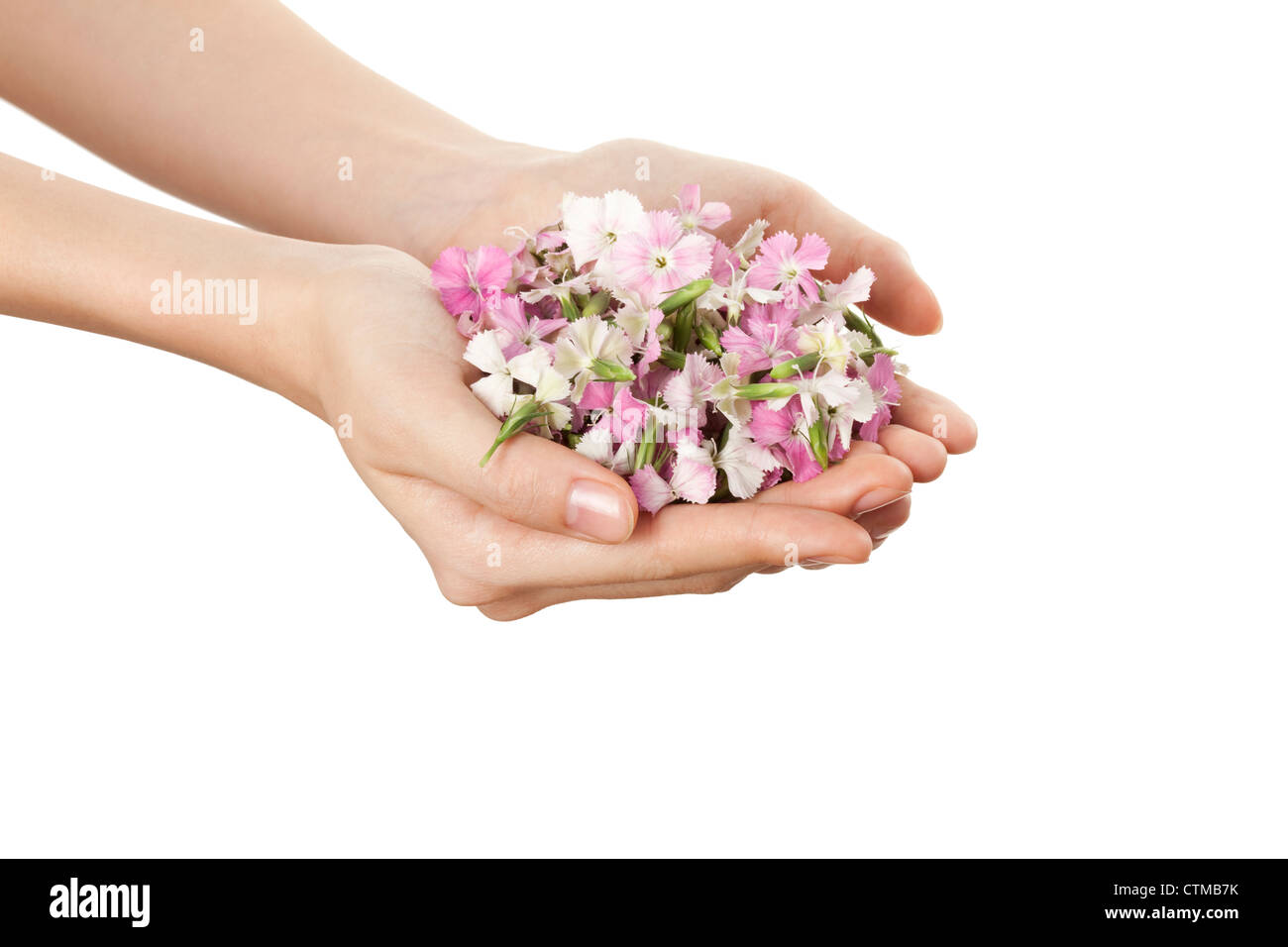 Hands holding sign hot hi-res stock photography and images - Alamy