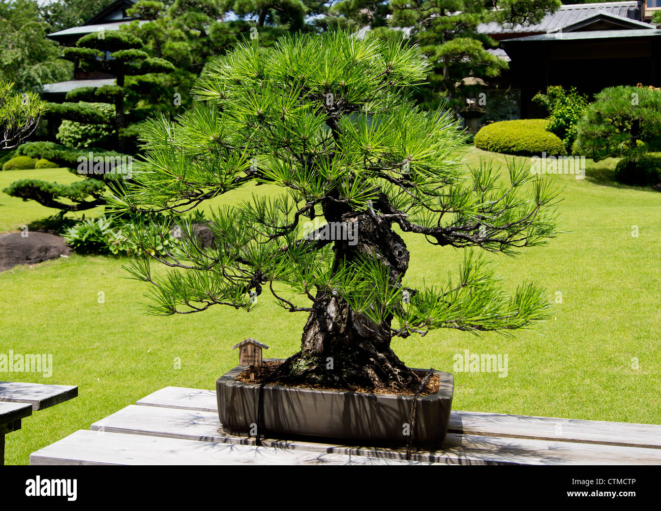 Happo-en Japanese Gardens Tokyo Japan Stock Photo - Alamy