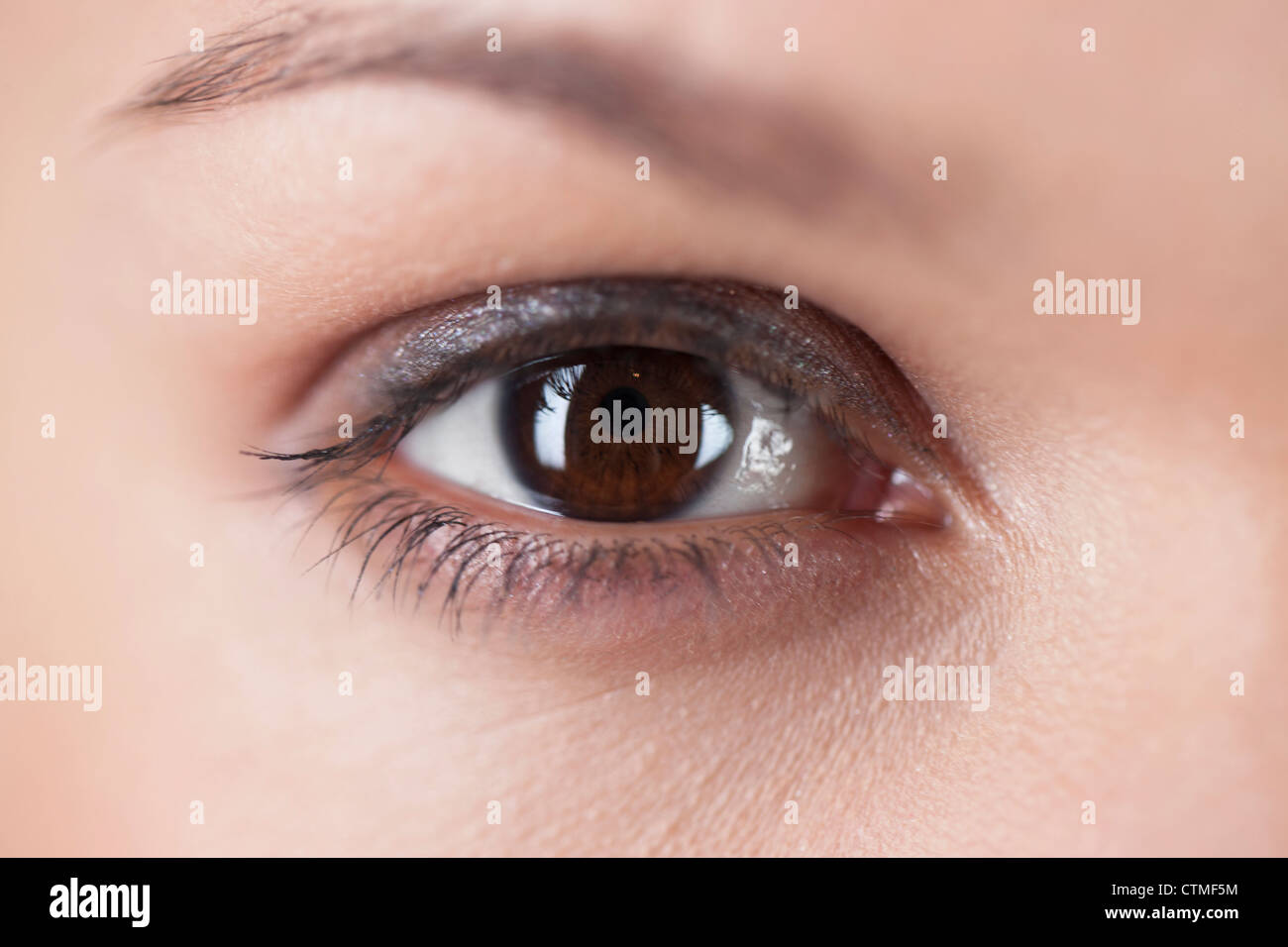 Close-up of a young womans brown eye Stock Photo - Alamy
