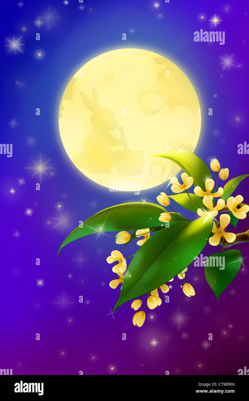 Full moon and osmanthus fragrans for Chinese Mid-autumn festival Stock ...