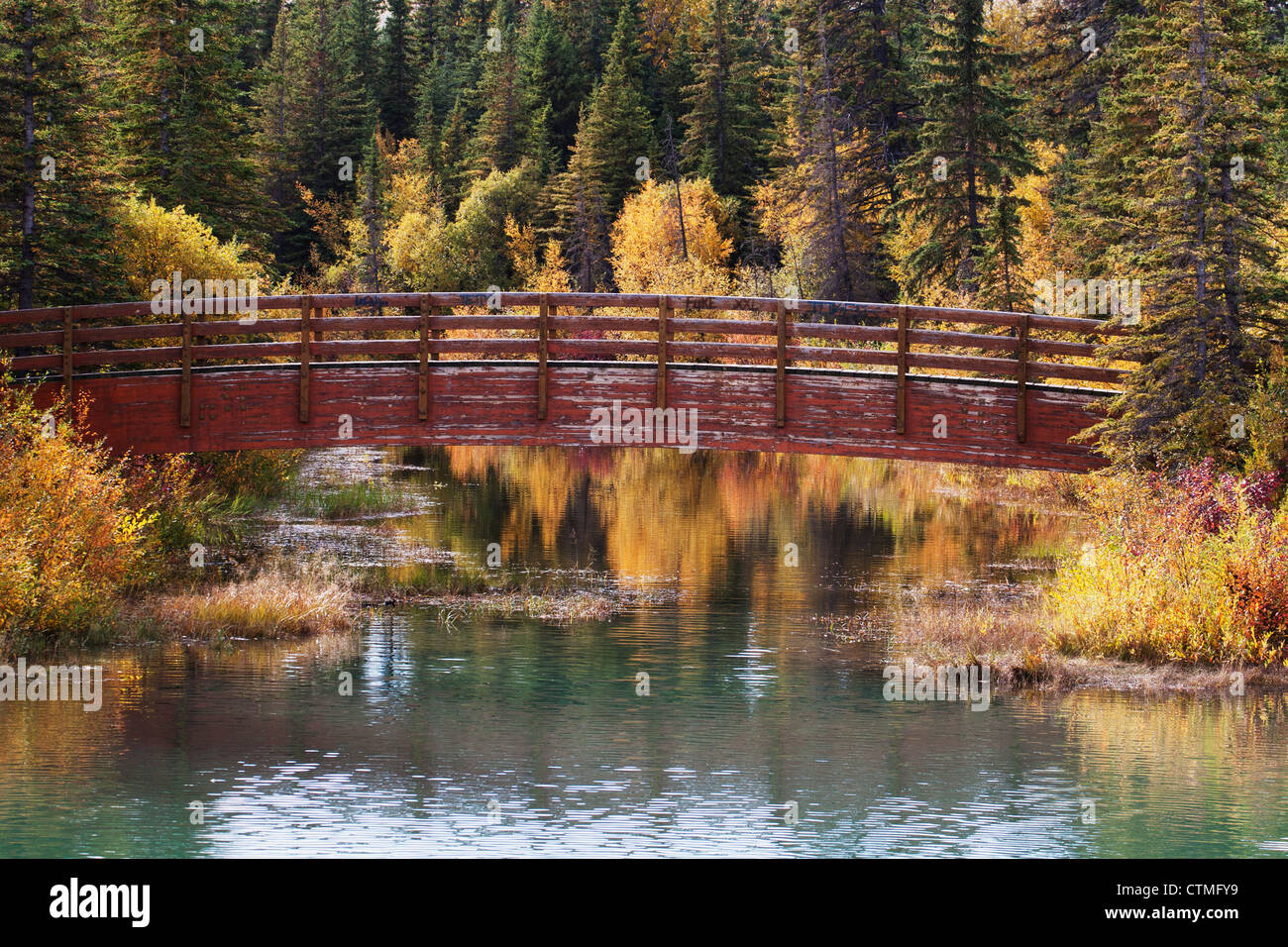 Arched Wooden Bridge Over A Stream Reflecting Fall Colours On The Trees ...