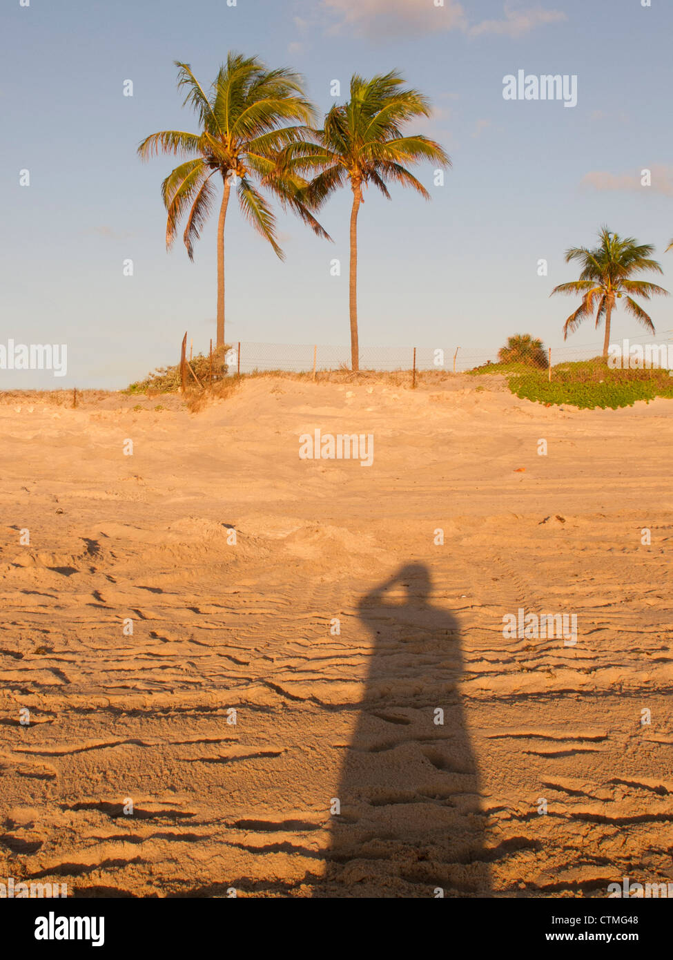 Shadow on sand Stock Photo - Alamy