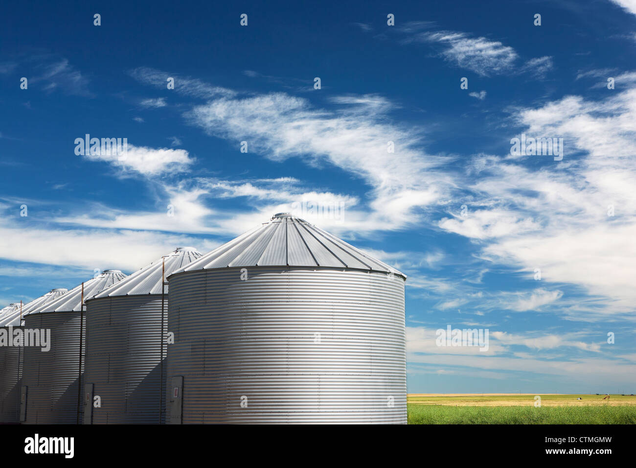 Metal Grain Bins With Blue Sky And Clouds South Of Cochrane; Alberta ...