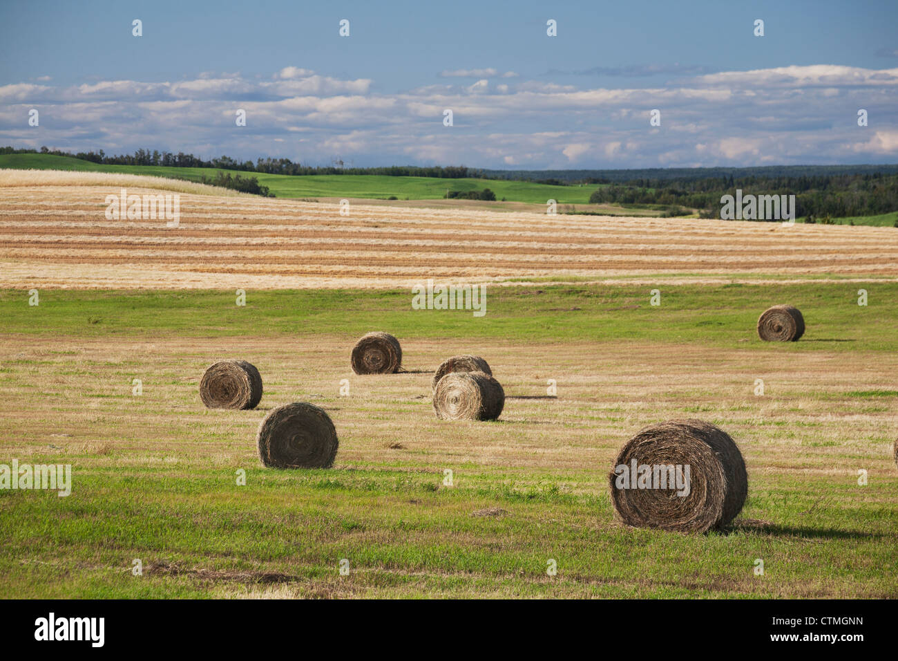 Farm farmland fields grass hay hills land hi-res stock photography and ...