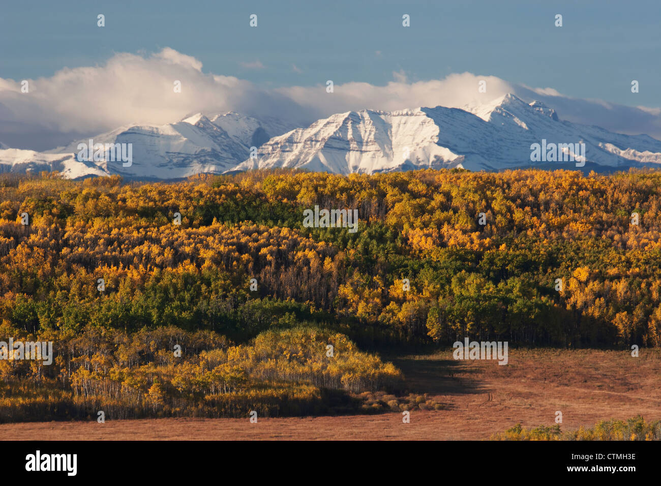 Hillside Covered With Fall Colors High Resolution Stock Photography and ...