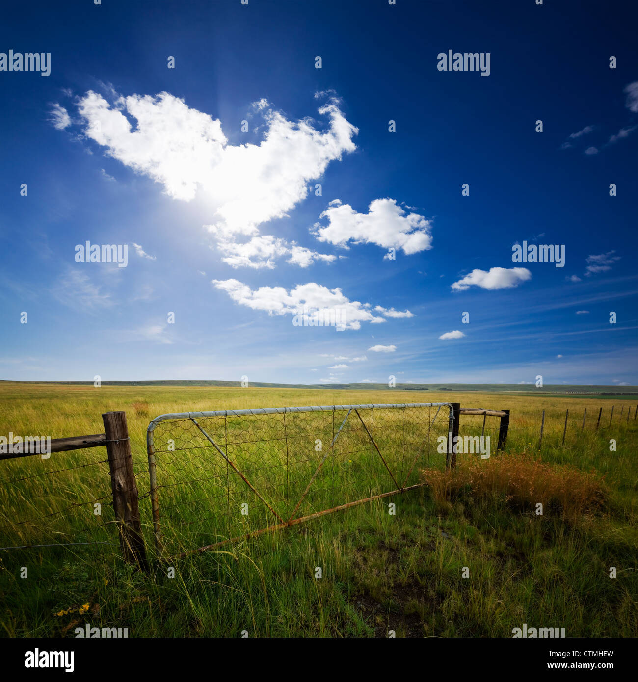 Barkly region hi-res stock photography and images - Alamy