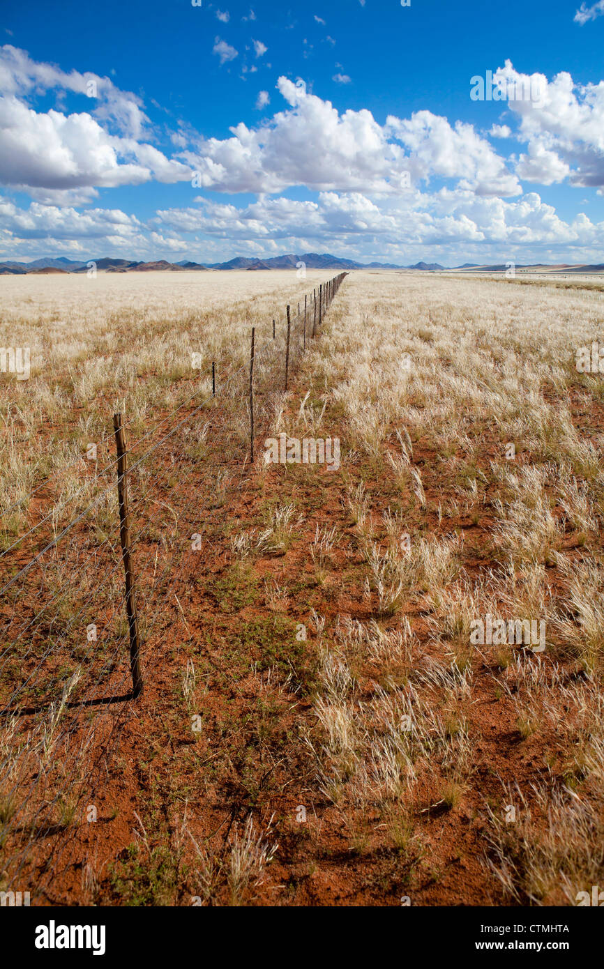 Endless fence in ivory coloured grass, Namib Rand, Namibia Stock Photo ...