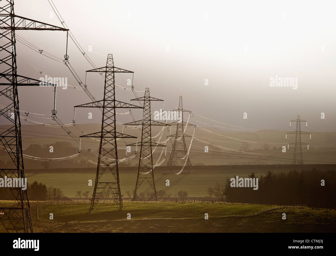 Electrical Transmission Towers And Lines In A Row Across Fields ...