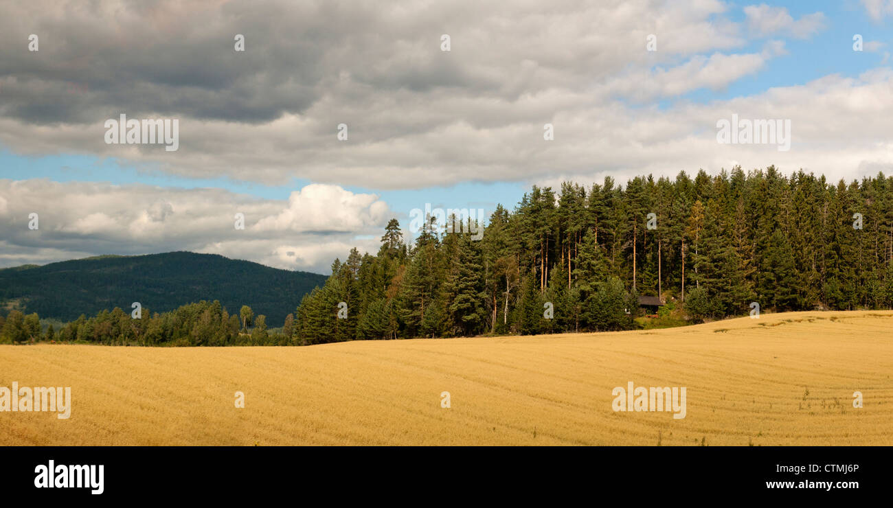 Norway crops agriculture hi-res stock photography and images - Alamy