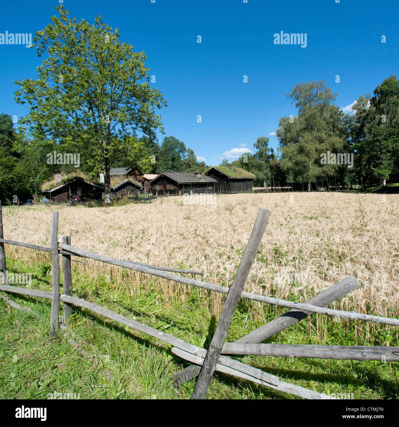Norway crops agriculture hi-res stock photography and images - Alamy