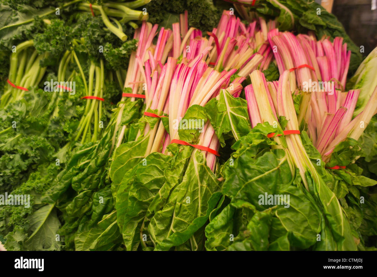 Peppermint Swiss Chard in the produce section of a market in New York ...