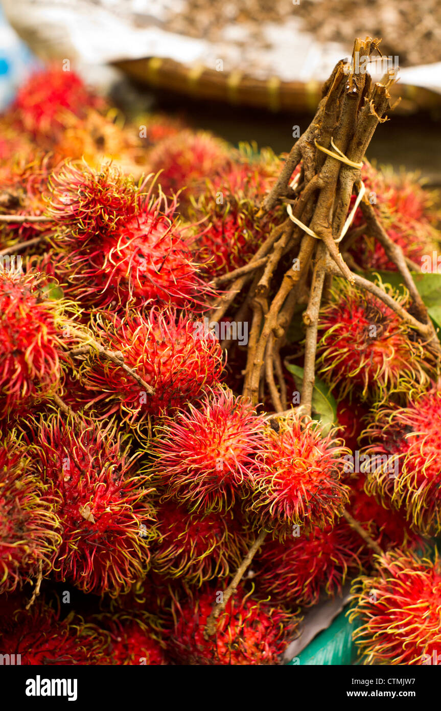 rambutan, one of the common tropical fruits in southeast asia countries ...