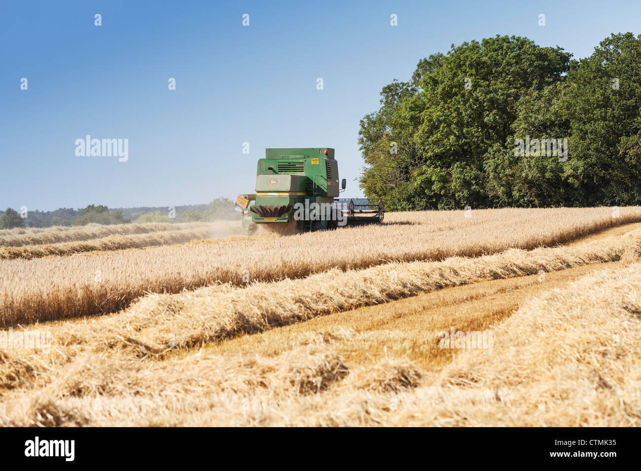 Farmers harvesting the corn crop during a brief dry spell in the ...