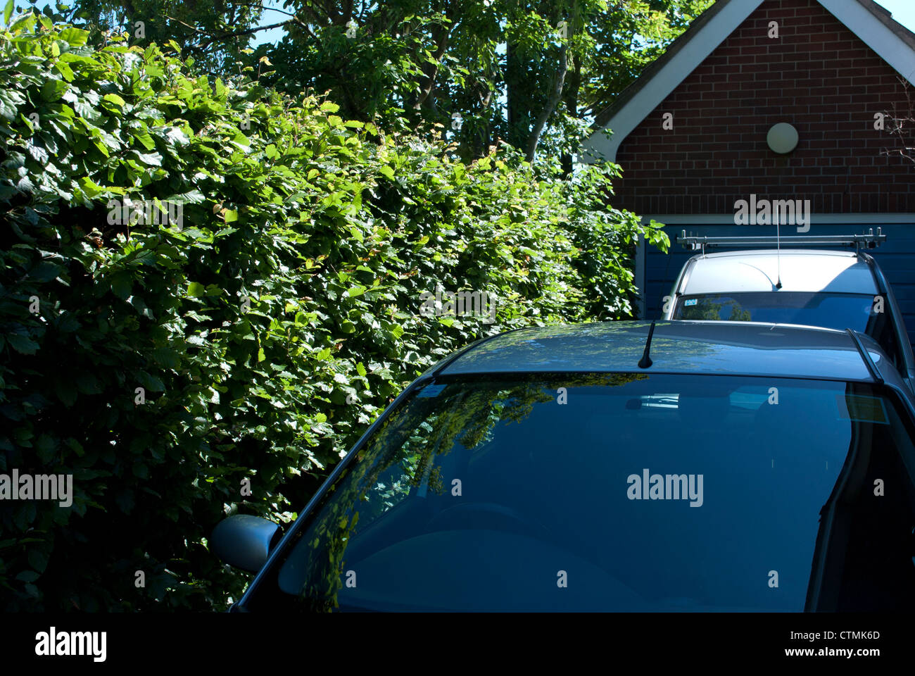 Windscreen on car with van behind in driveway with large beach hedge to ...