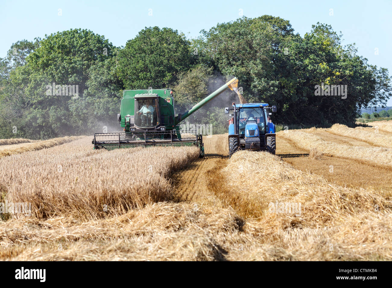 Farmers harvesting the corn crop during a brief dry spell in the ...