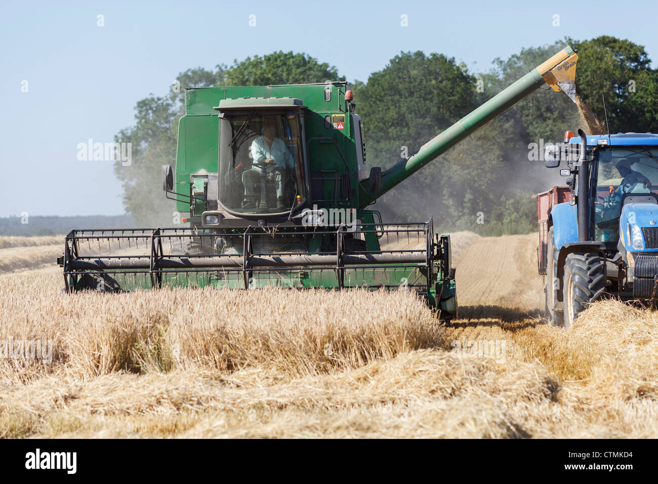 Farmers harvesting the corn crop during a brief dry spell in the ...