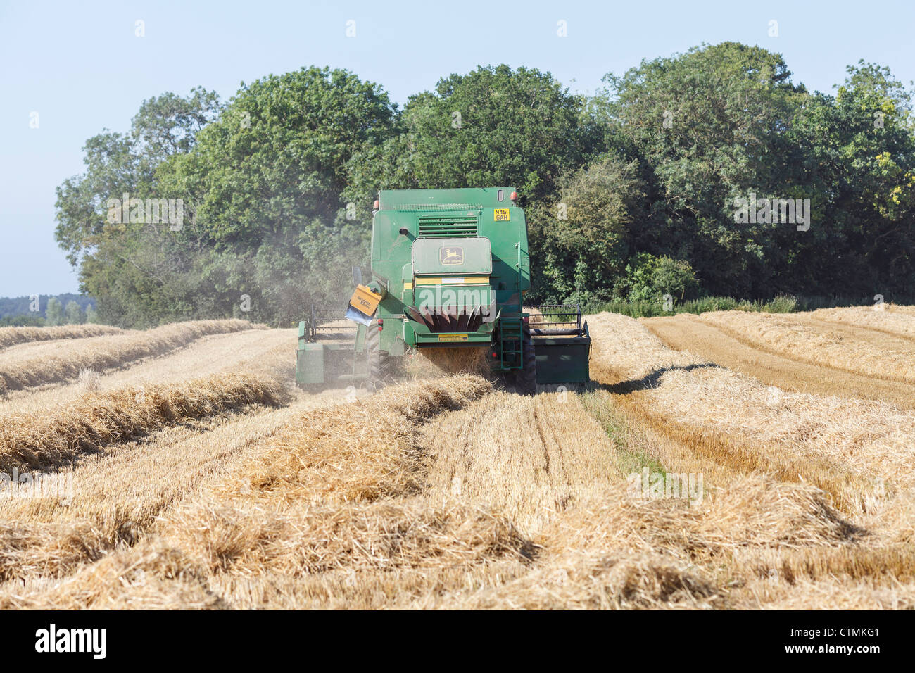 Farmers harvesting the corn crop during a brief dry spell in the ...