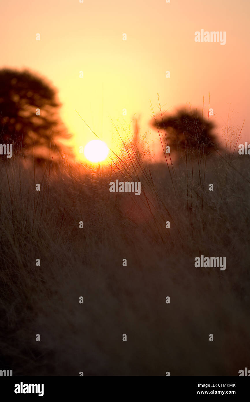 Warrmth hi-res stock photography and images - Alamy