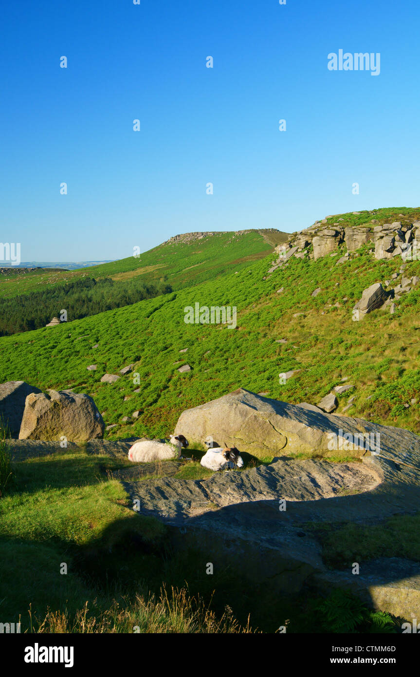 UK,Derbyshire,Peak District,Upper Burbage Valley,View Towards Fiddler's ...