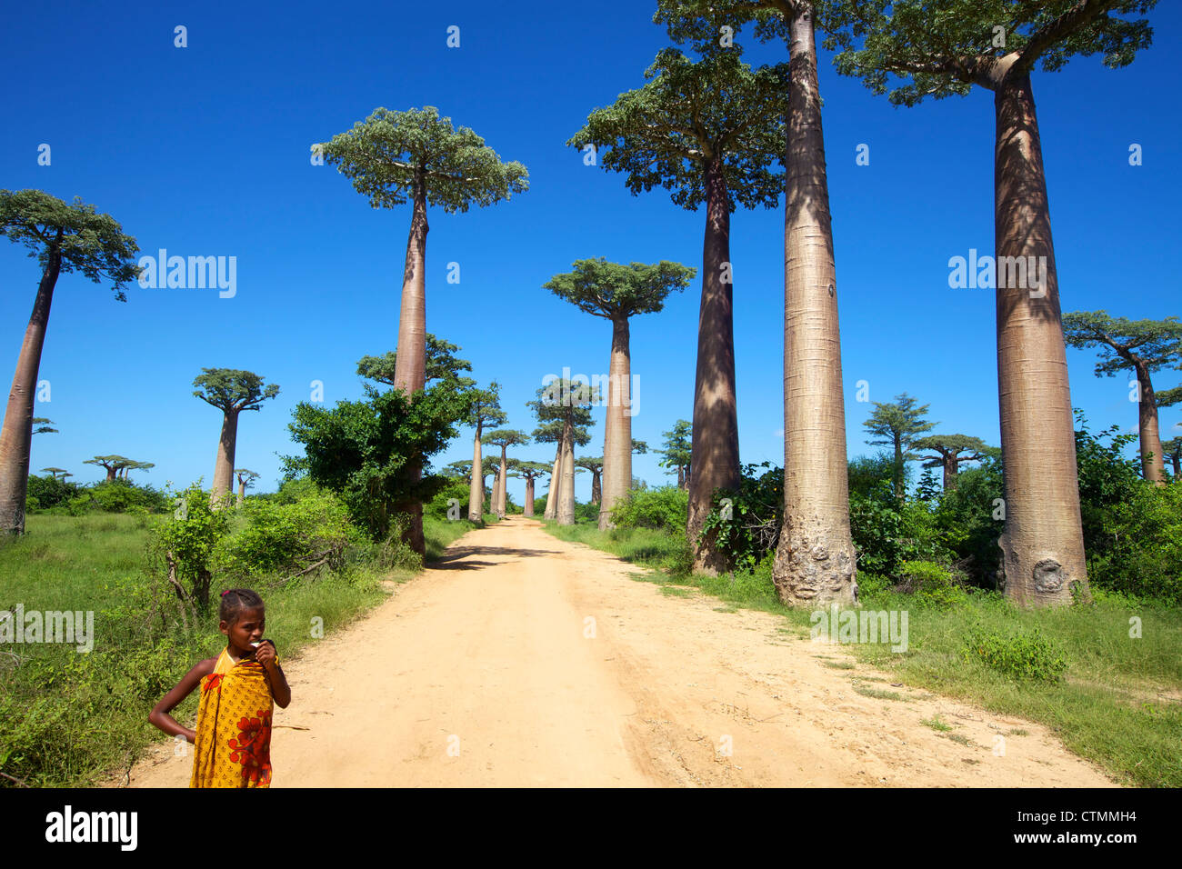 Indian road side view hi-res stock photography and images - Alamy