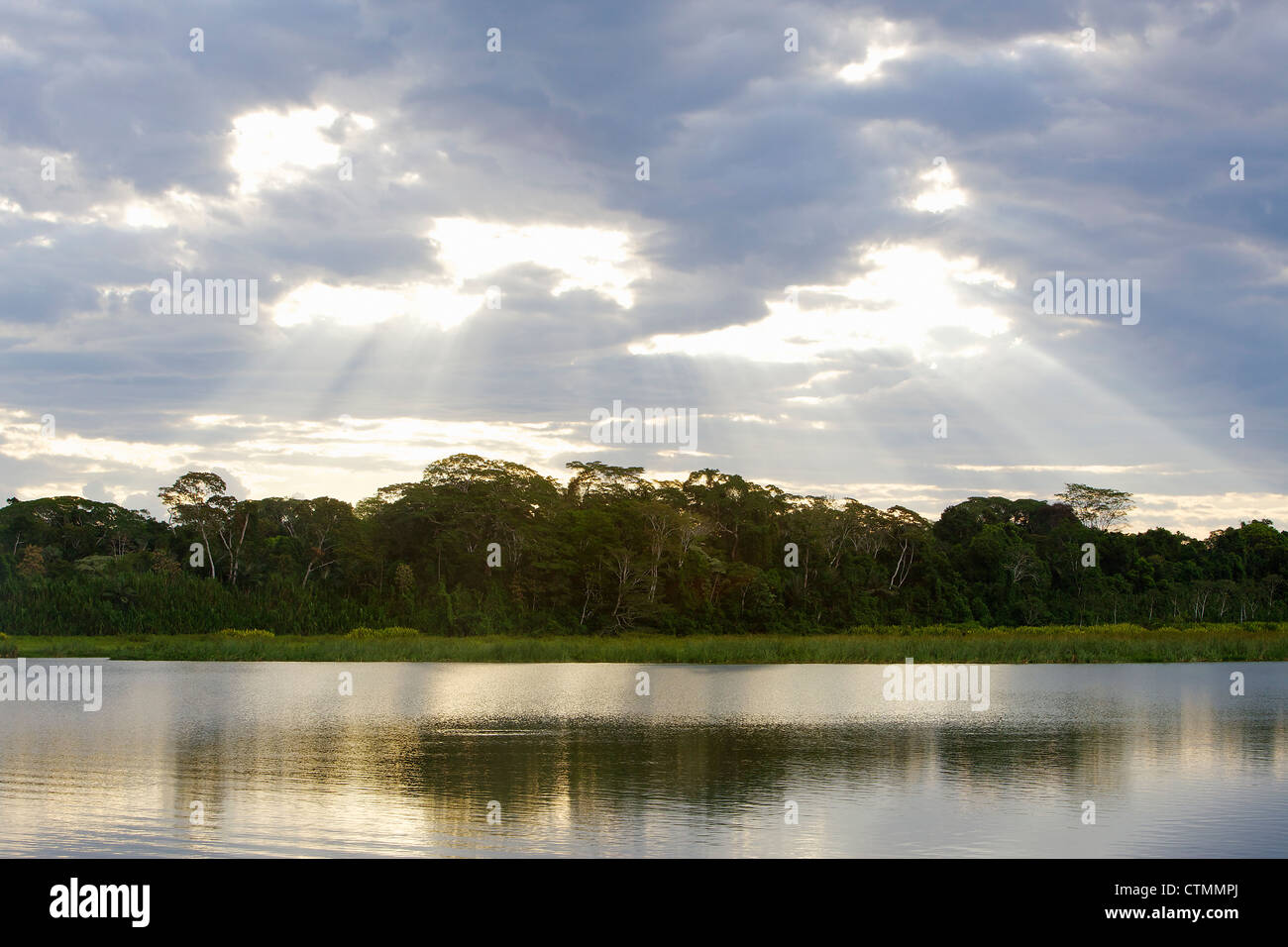 View of the Amazon rainforest at dusk, Rurrenabaque, Amazon Jungle ...