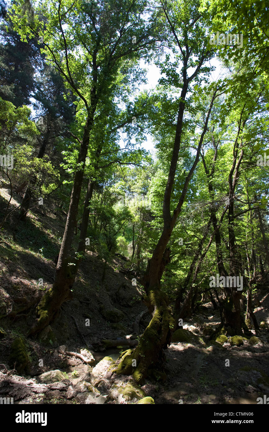 Butterfly valley rhodes hi-res stock photography and images - Alamy