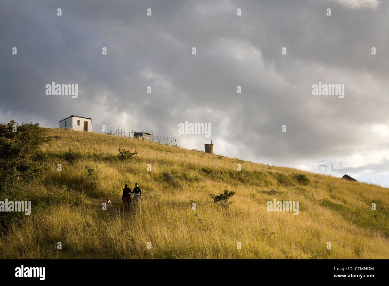 Two distant people with dog hi-res stock photography and images - Alamy
