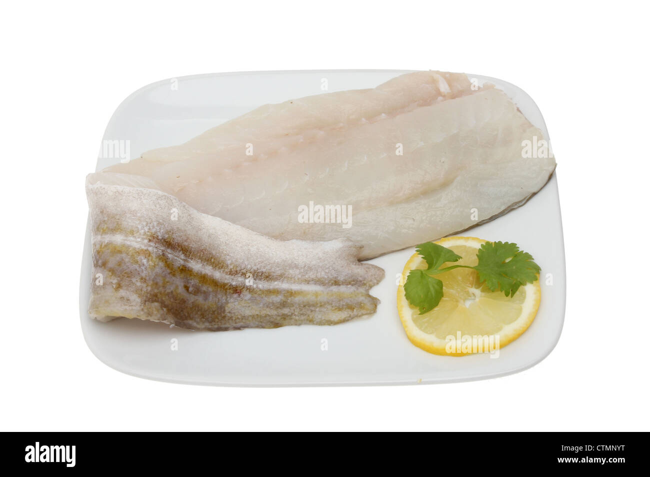 Isolated fish hi-res stock photography and images - Alamy