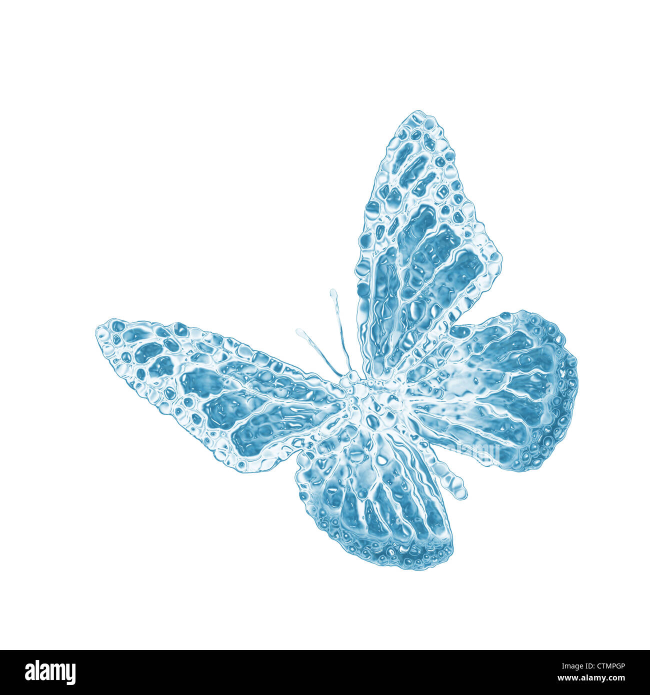 water butterfly isolated on white Stock Photo - Alamy