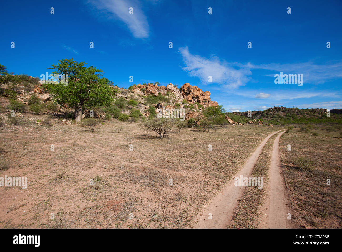 Limpopo Province, South Africa High Resolution Stock Photography and ...